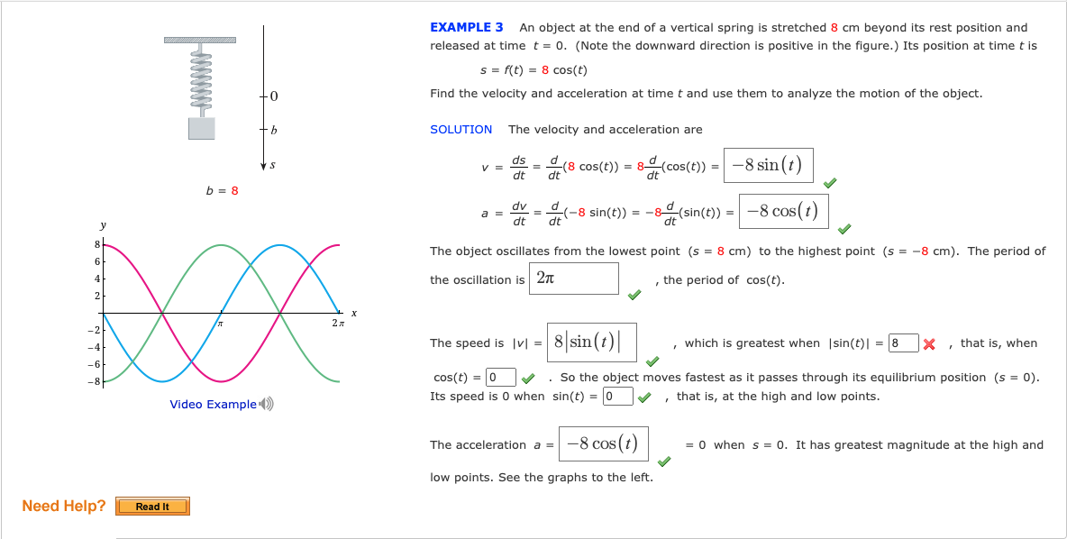 Solved EXAMPLE 3 An object at the end of a vertical spring | Chegg.com
