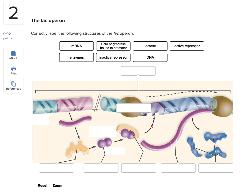Solved: PLEASE ANSWER ALL QUESTIONS CORRECTLY AND DOUBLE C... | Chegg.com