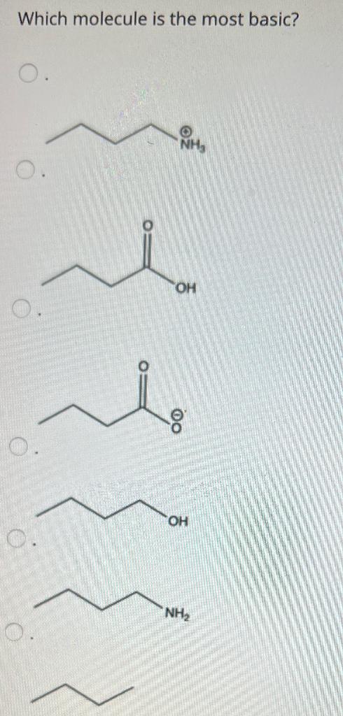 Solved Which molecule is the most basic? | Chegg.com