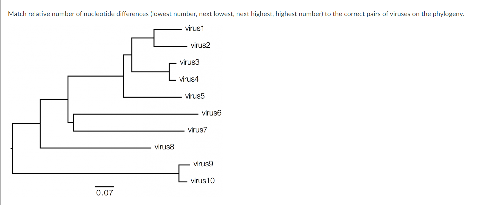 Solved Match relative number of nucleotide differences | Chegg.com