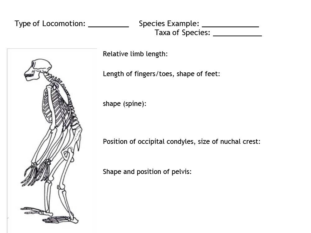 1. Identify a primate species that uses the form of | Chegg.com