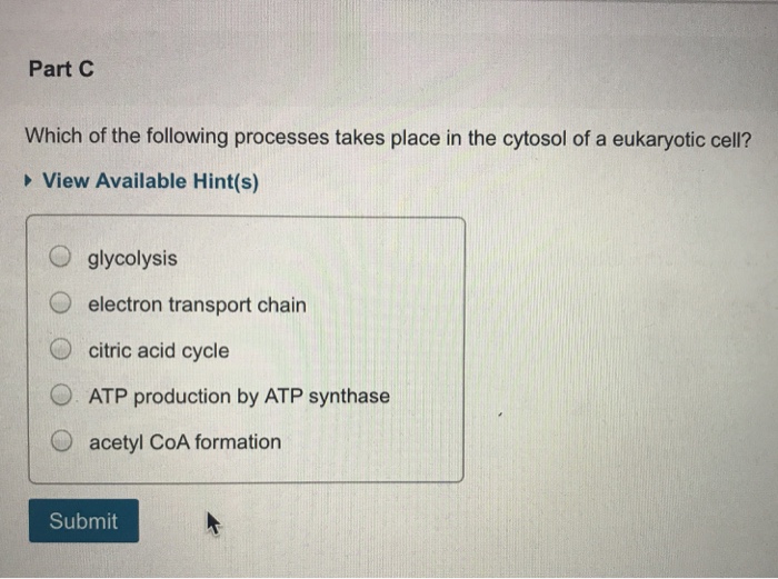 Solved Part C Which of the following processes takes place | Chegg.com