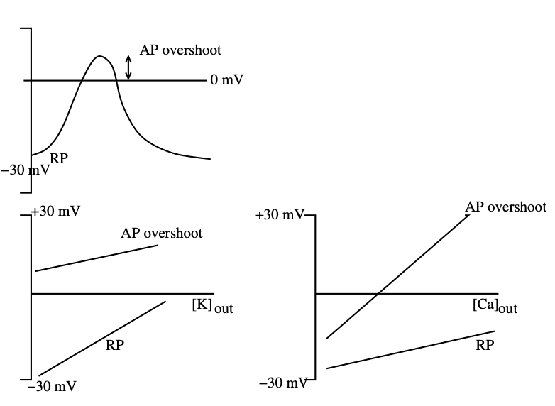 Solved (From Johnston \& Wu ) The paramecium has a resting | Chegg.com