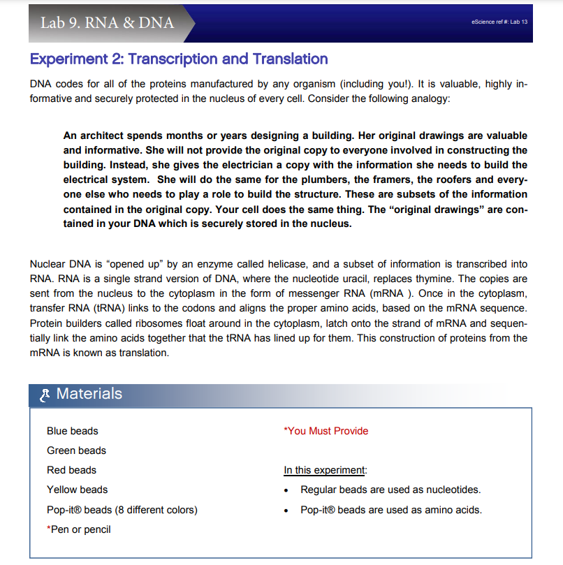 Experiment 2: Transcription and Translation DNA codes | Chegg.com