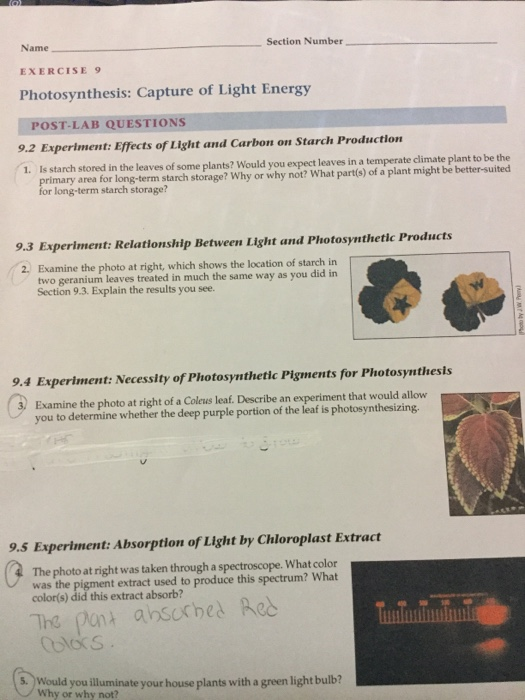 Solved Name EXERCISE 9 Photosynthesis: Capture of Light | Chegg.com
