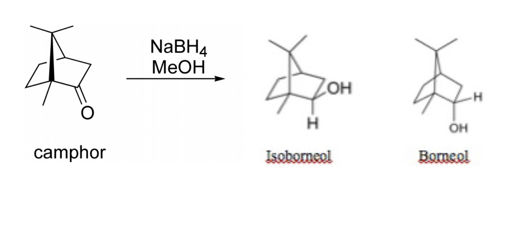 How many stereogenic centers do isoborneol and | Chegg.com
