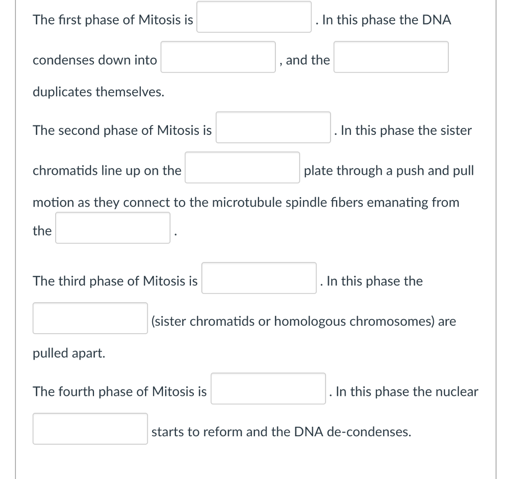 Solved The first phase of Mitosis is In this phase the DNA | Chegg.com