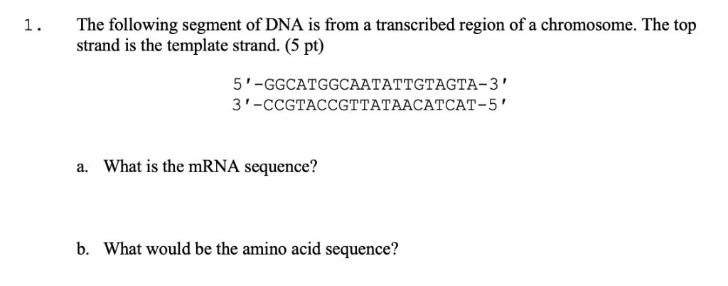 Solved The following segment of DNA is from a transcribed | Chegg.com