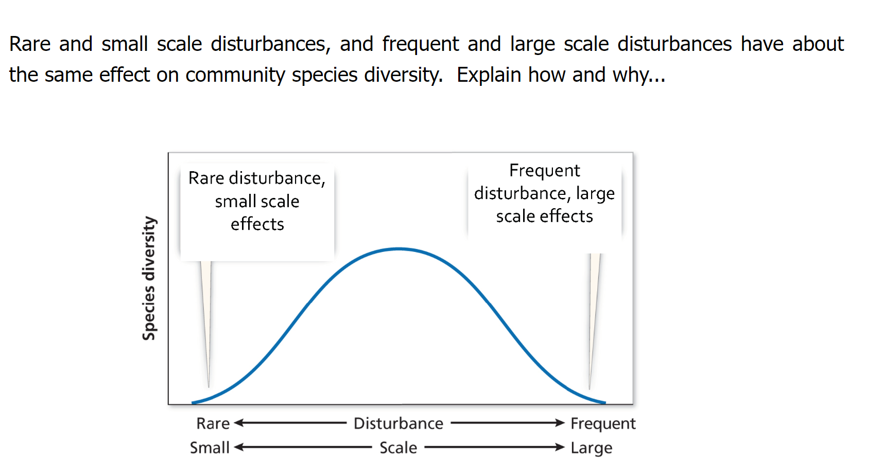 Solved Rare and small scale disturbances, and frequent and | Chegg.com