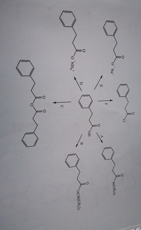 Solved COCH(CH3) 2 NaOH(aq) -OCH3 Br2 FeBr3 H3C COOH C(CH3)3 | Chegg.com
