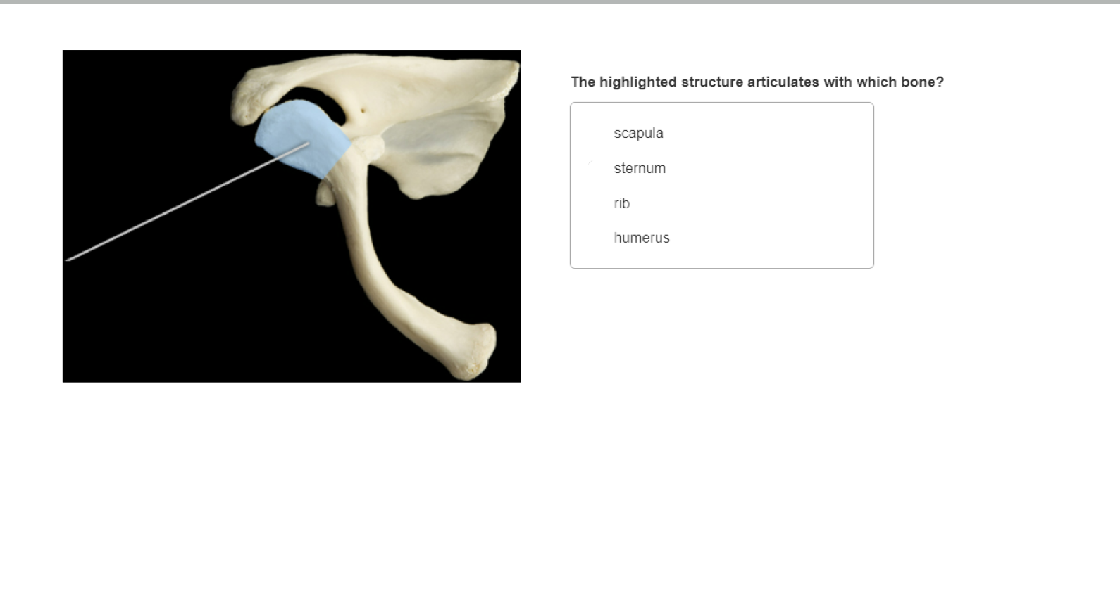 Solved The highlighted structure articulates with which | Chegg.com