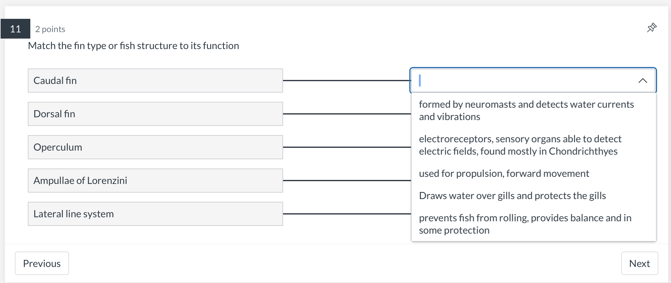 Solved 11 2 points Match the fin type or fish structure to | Chegg.com