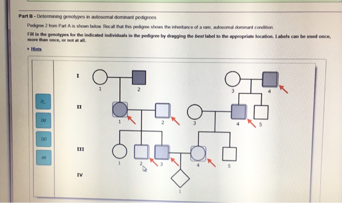 Solved Pedigree 2 From Part A Is Shown Below Recall That Is 