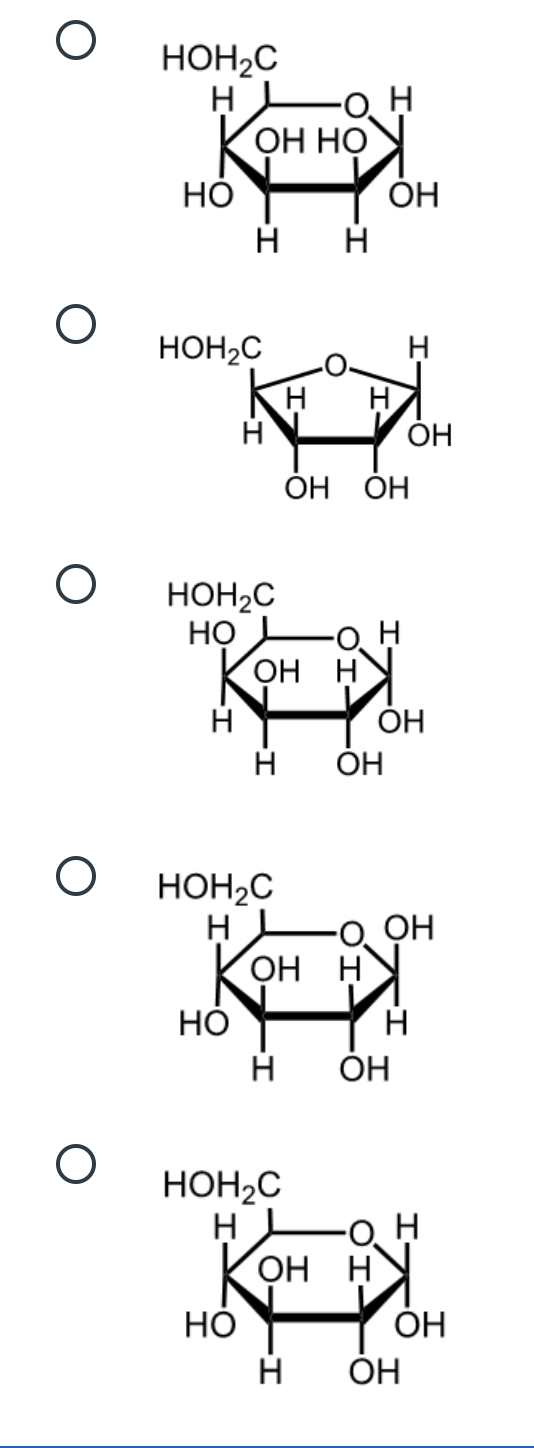 Solved 4 points The Fischer projection of a carbohydrate is | Chegg.com