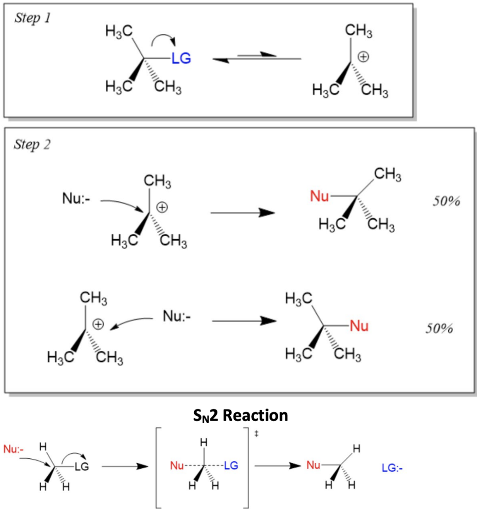 Solved Step 1 H3C CH3 -LG -- H3C CH3 H3C CH3 Step 2 CH3 CH3 | Chegg.com