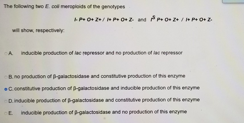 The following two E. coli meroploids of the genotypes | Chegg.com