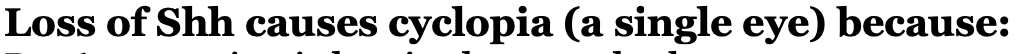 Solved Loss of Shh causes cyclopia (a single eye) | Chegg.com