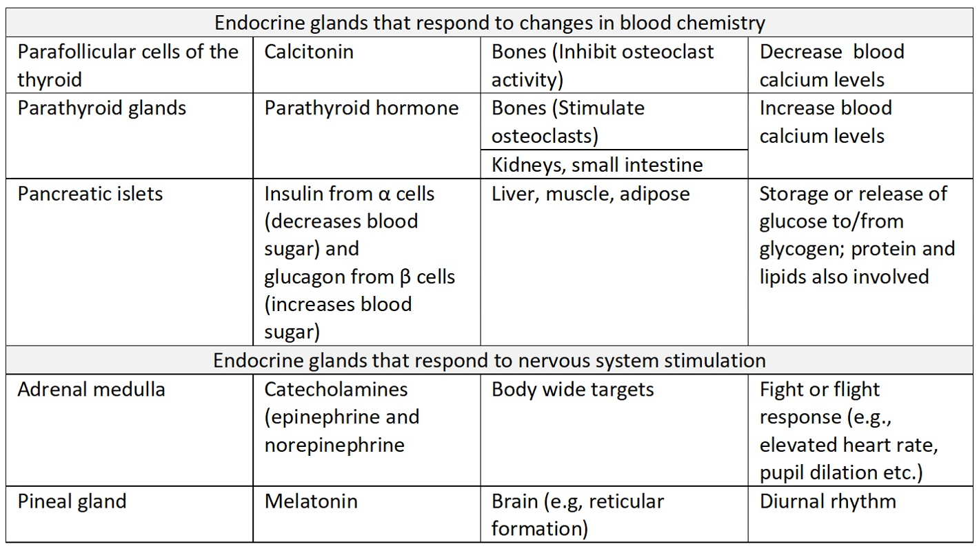 Endocrine System Table