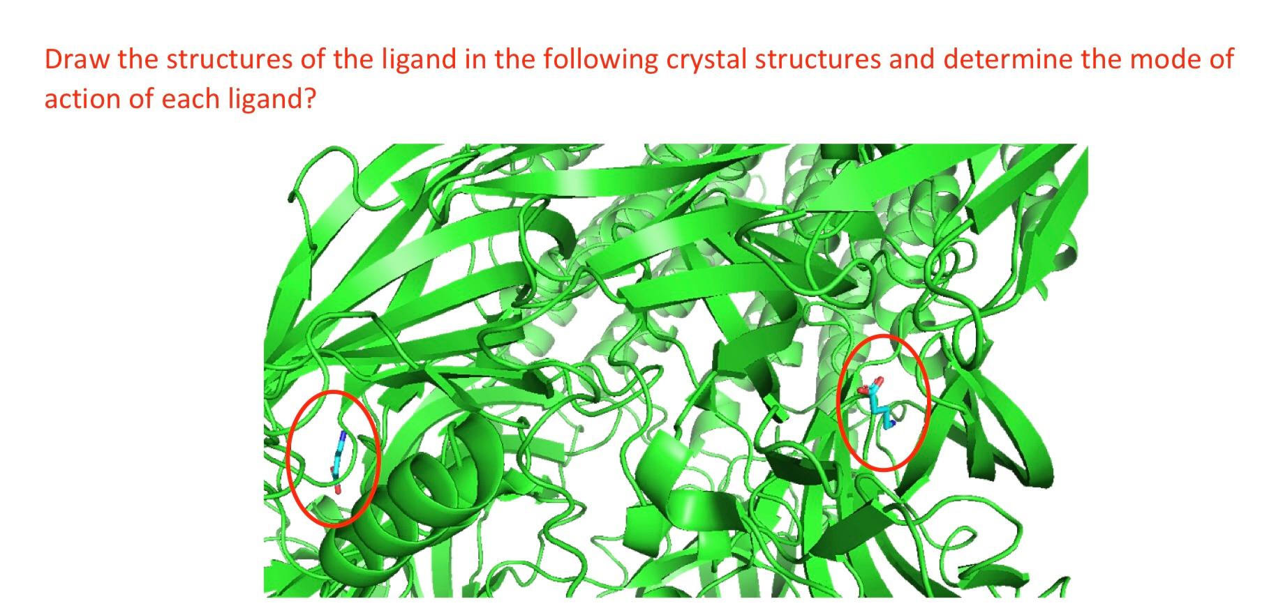 Draw the structures of the ligand in the following | Chegg.com