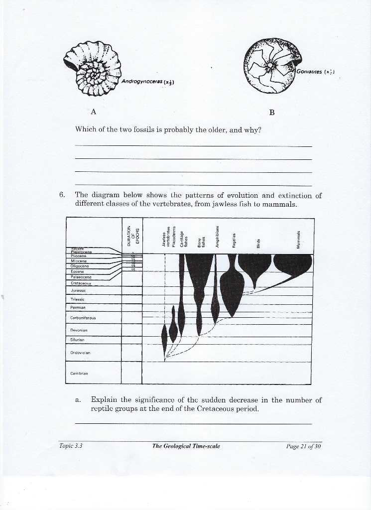 Solved EXERCISES Fossil Evidence 1. Explain the difference | Chegg.com