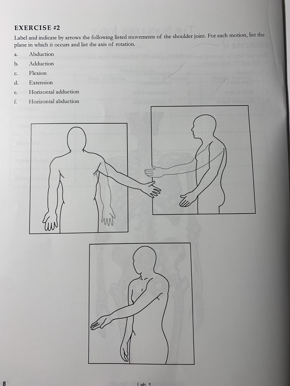 Solved THE SHOULDER GIRDLE EXERCISE #1: a. Draw and label on | Chegg.com