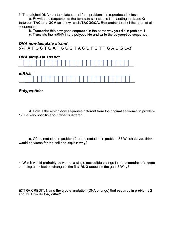 Solved Activity 12.2 Homework. Central Dogma Worksheet. Biol | Chegg.com