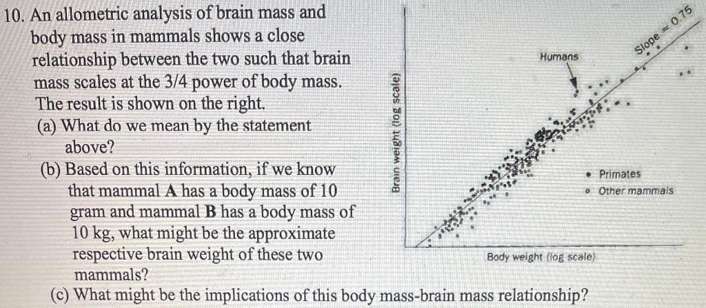 Solved Humans Slope = 0.75 10. An allometric analysis of | Chegg.com