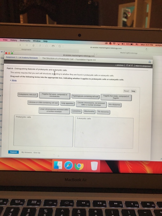 Solved Distinguishing features of and cells. This activity | Chegg.com
