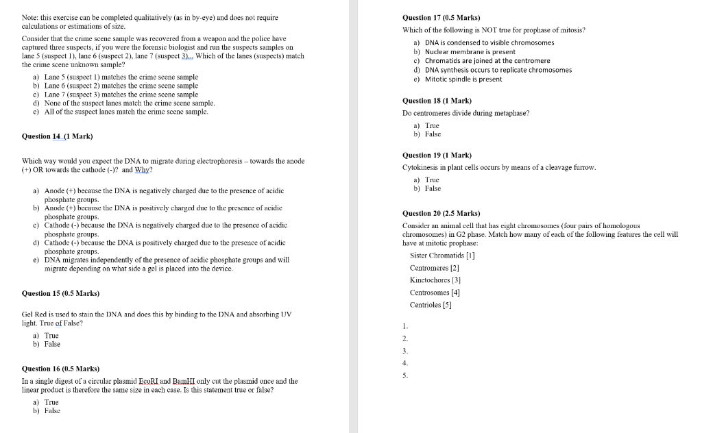 "EcoR1" and "BamH1" are enzymes which only cut DNA at | Chegg.com