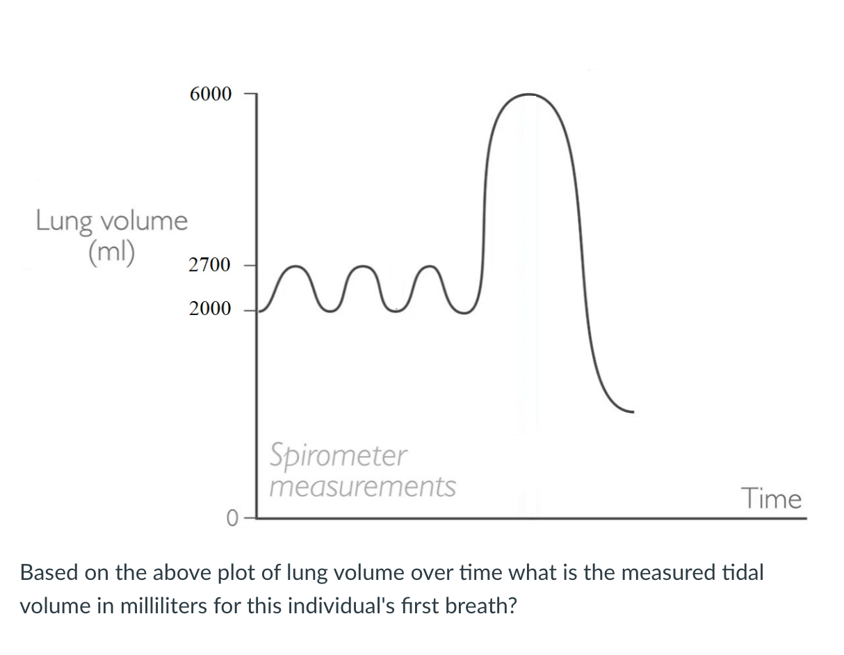 Solved Based on the above plot of lung volume over time what | Chegg.com