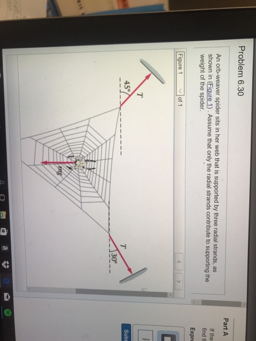 Solved Problem 6.30 Part A An orb-weaver spider sits in her | Chegg.com