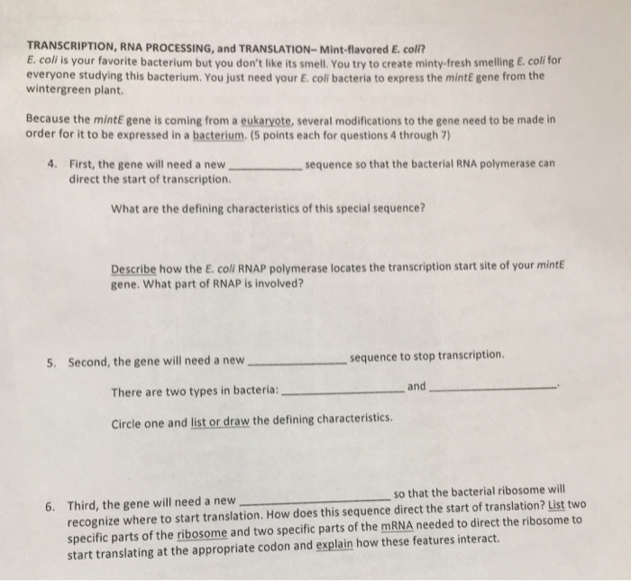 Solved TRANSCRIPTION, RNA PROCESSING, and TRANSLATION- | Chegg.com