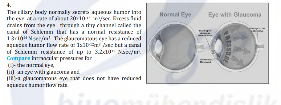 Solved 4. The ciliary body normally secrets aqueous humor | Chegg.com