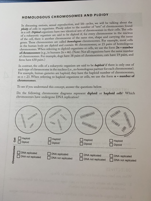 The Following Diagram Represents Two Nonhomologous Chromosomes - Wiring ...