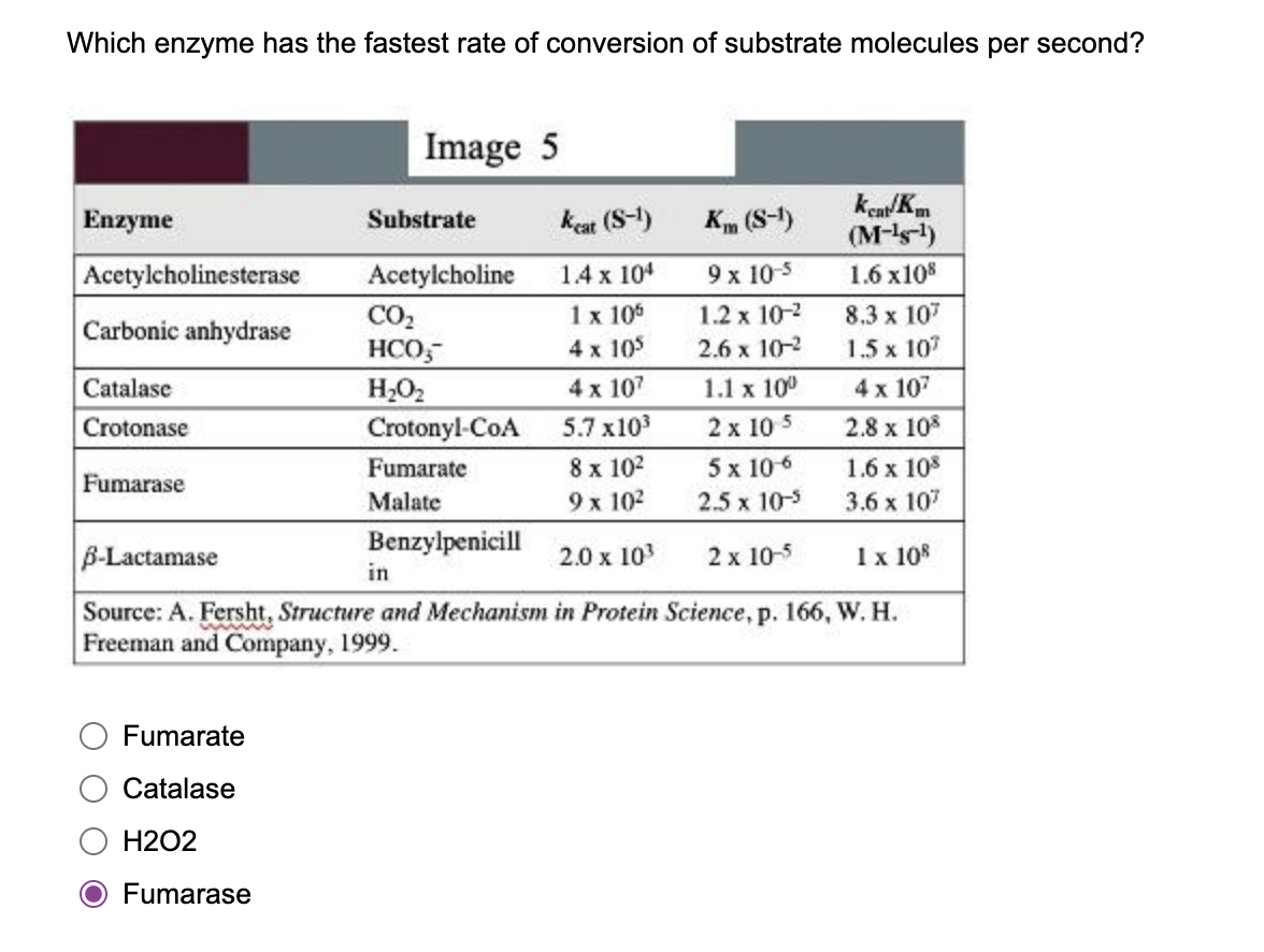 Solved Which enzyme has the fastest rate of conversion of | Chegg.com