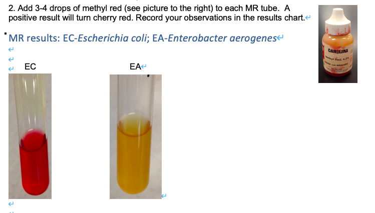 Solved 'Citrate results: E. aerogenes E. coli eh 2. Add | Chegg.com