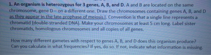 Solved 1. An organism is heterozygous for 3 genes, A, B, and | Chegg.com