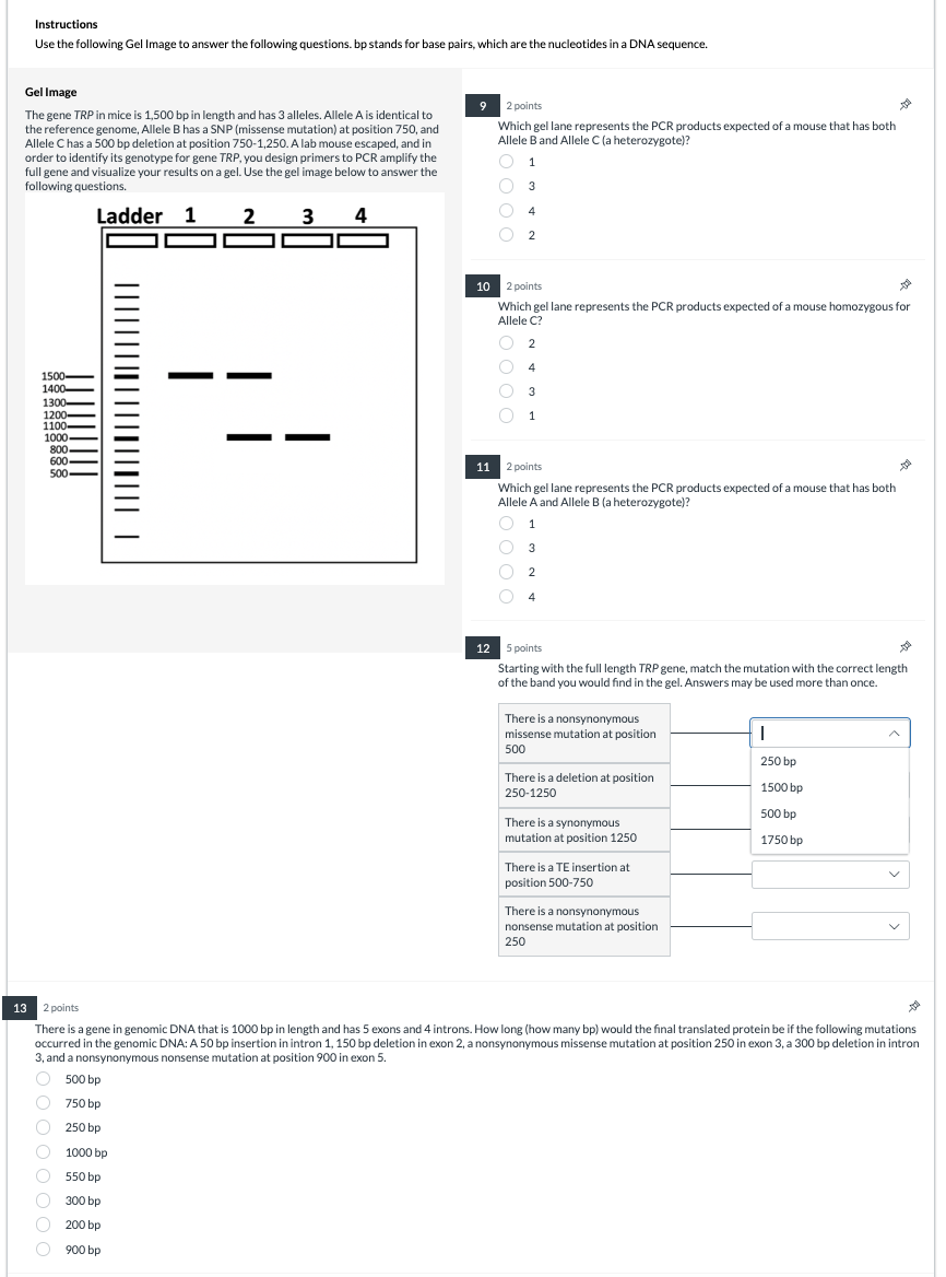 Solved Use the following Gel Image to answer the following | Chegg.com