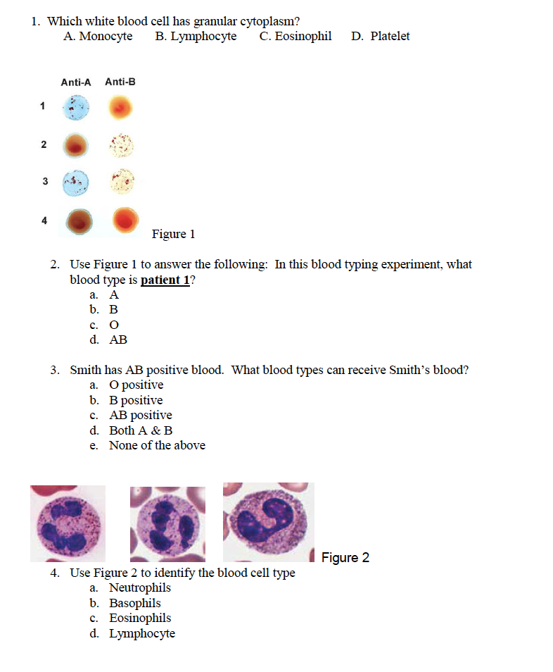Solved 1. Which white blood cell has granular cytoplasm? A. | Chegg.com