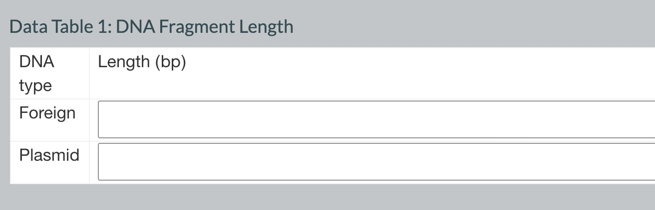 Solved Step 1. Record the length of the longest fragment, | Chegg.com