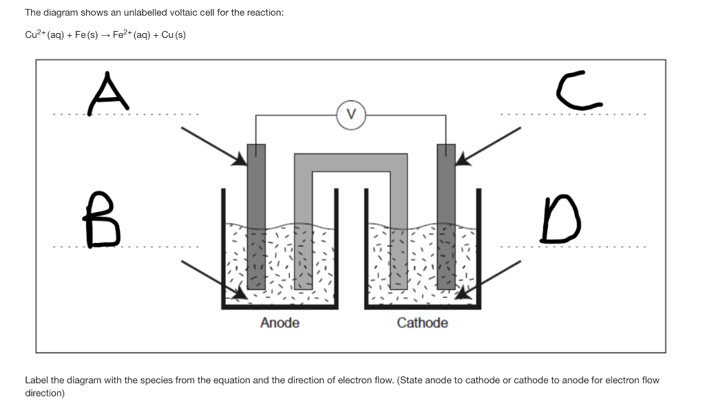 Solved The diagram shows an unlabelled voltaic cell for the | Chegg.com