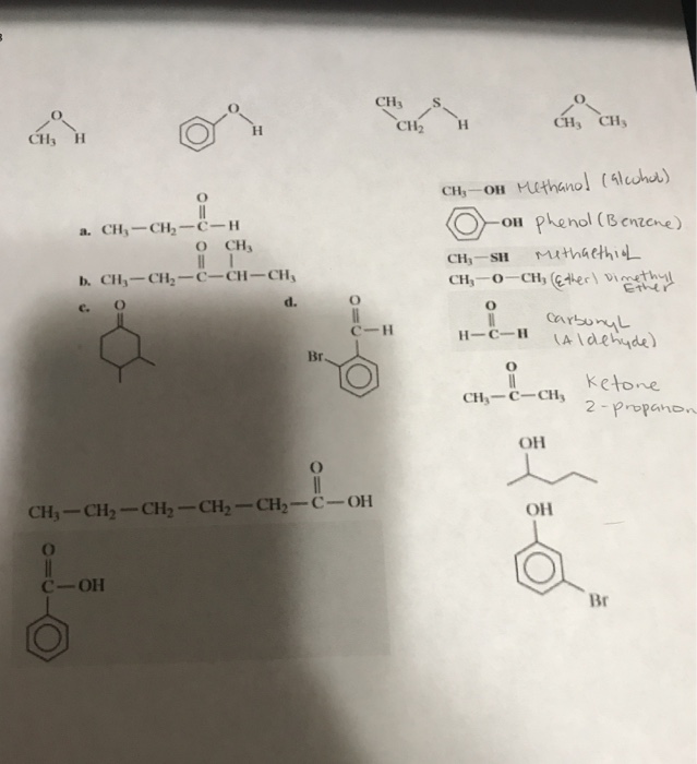 Solved CH2 CH3 CH CHs H a. CH -CH-C-H O CH ol Phenol (Benten | Chegg.com