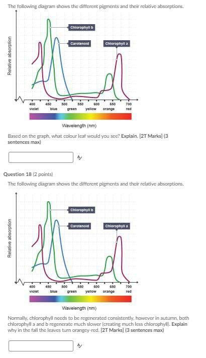 Solved The following diagram shows the different pigments | Chegg.com