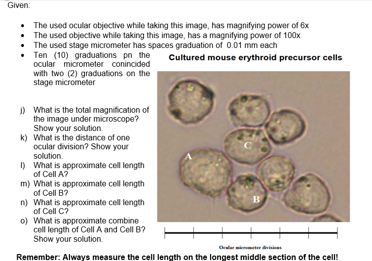 Solved PROBLEM #2 (Objective Lens) Stage Micrometer d) Base | Chegg.com