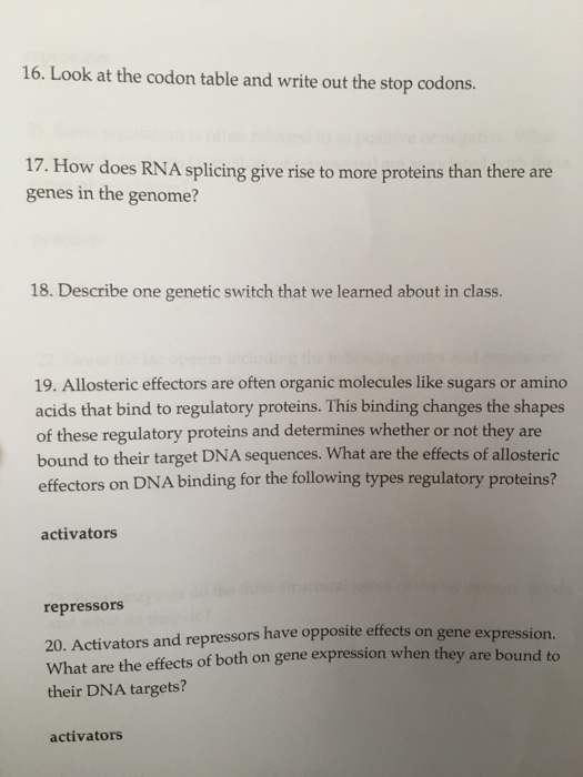 Solved 16. Look at the codon table and write out the stop | Chegg.com