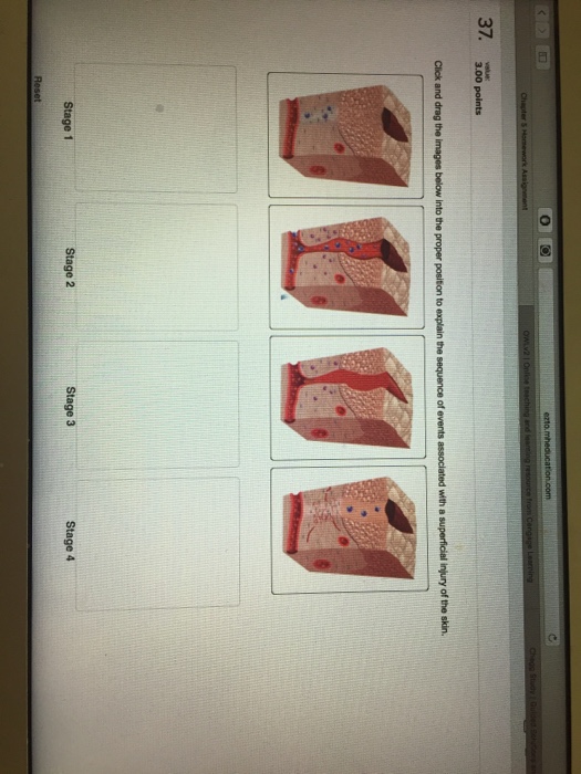 Biology Archive | March 04, 2017 | Chegg.com