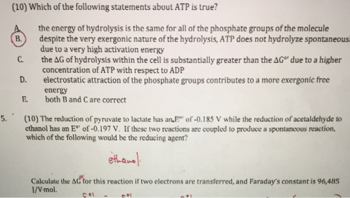 Solved (10) Which of the following statements about ATP is | Chegg.com