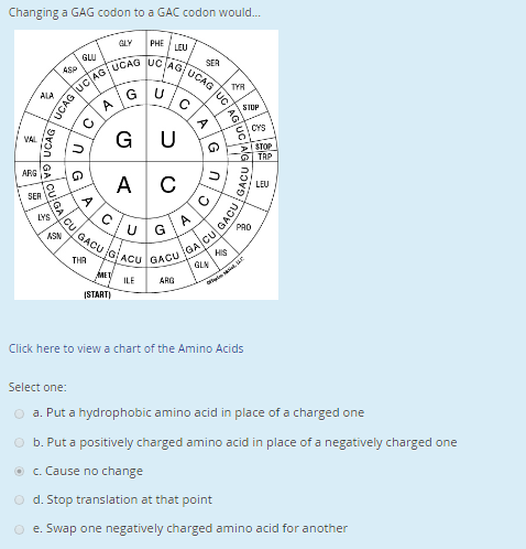 Solved Changing a GAG codon to a GAC codon would... GLY PHE | Chegg.com