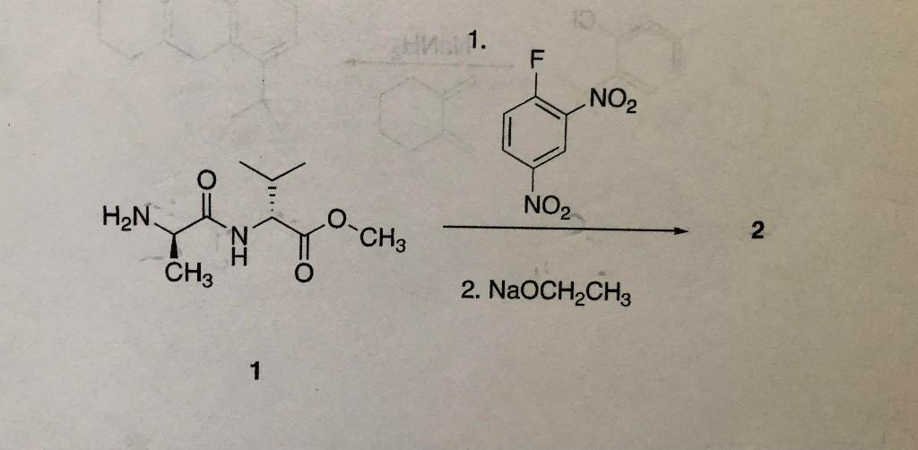 Solved H. 1 1. NO2 ¿Y H2N. NO2 CH3 CH3 2. NaOCH2CH3 1 | Chegg.com