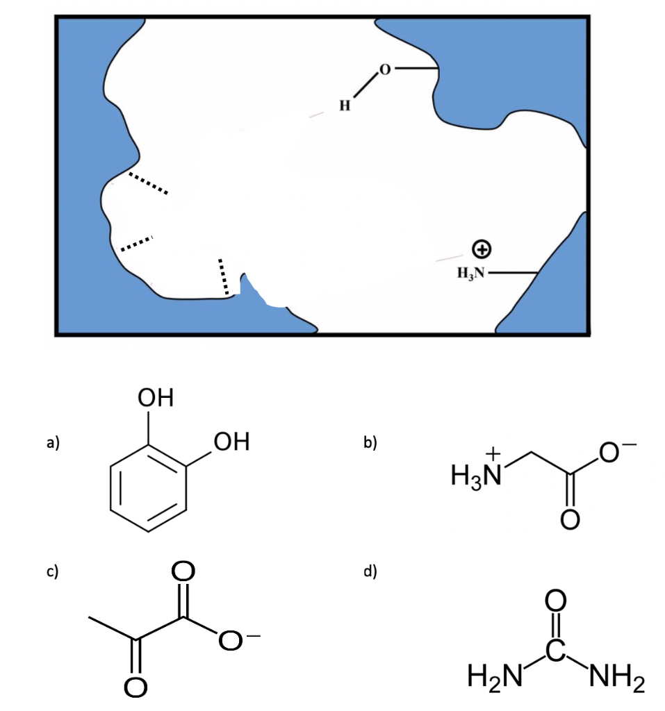Solved Binding Of A Substrate To An Enzyme Is A Kind Of